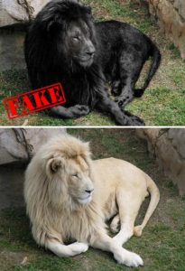 10 Famous Fake Photographs Which Seem Absolutely Real - CreativeSide